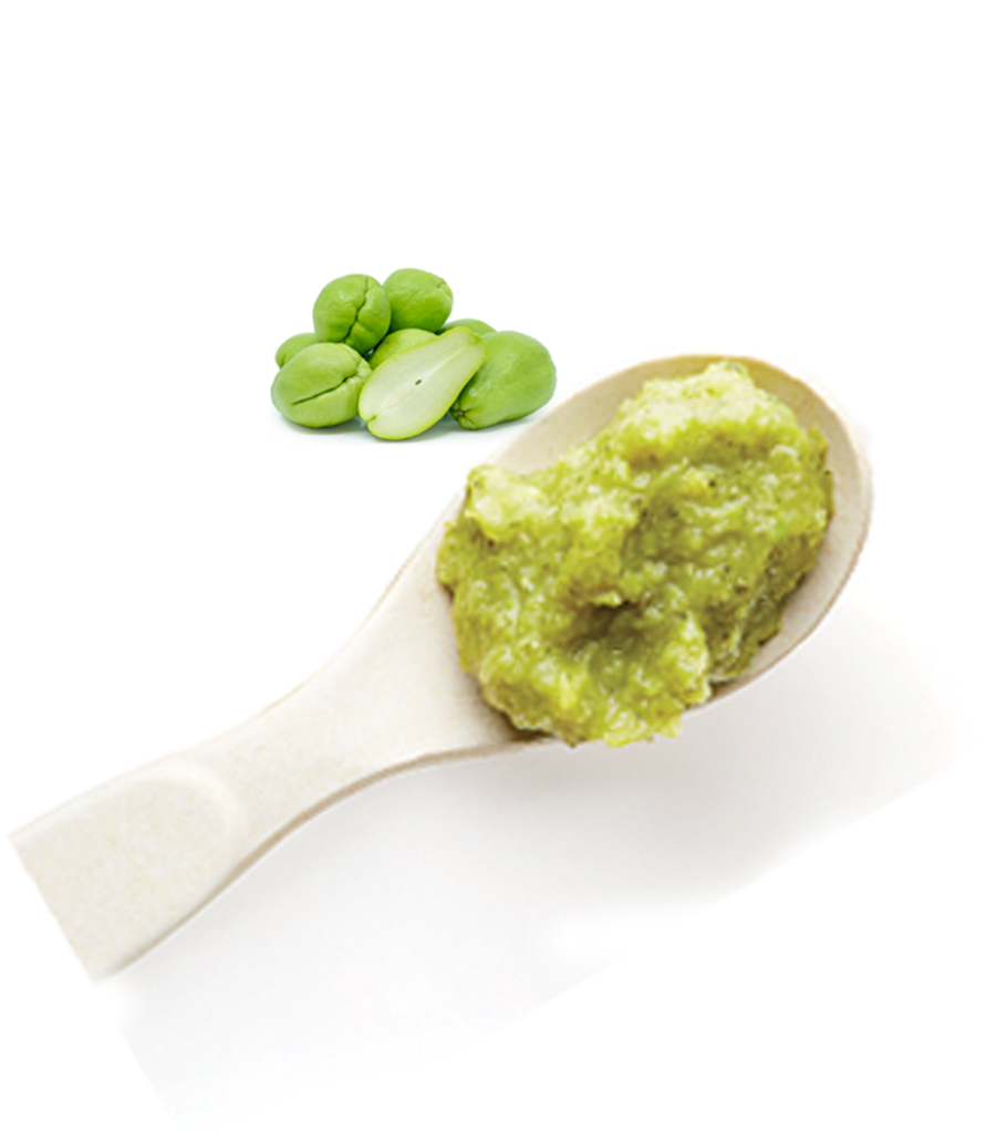 AECOPUREE® CHAYOTE – AE Chemie, Inc.